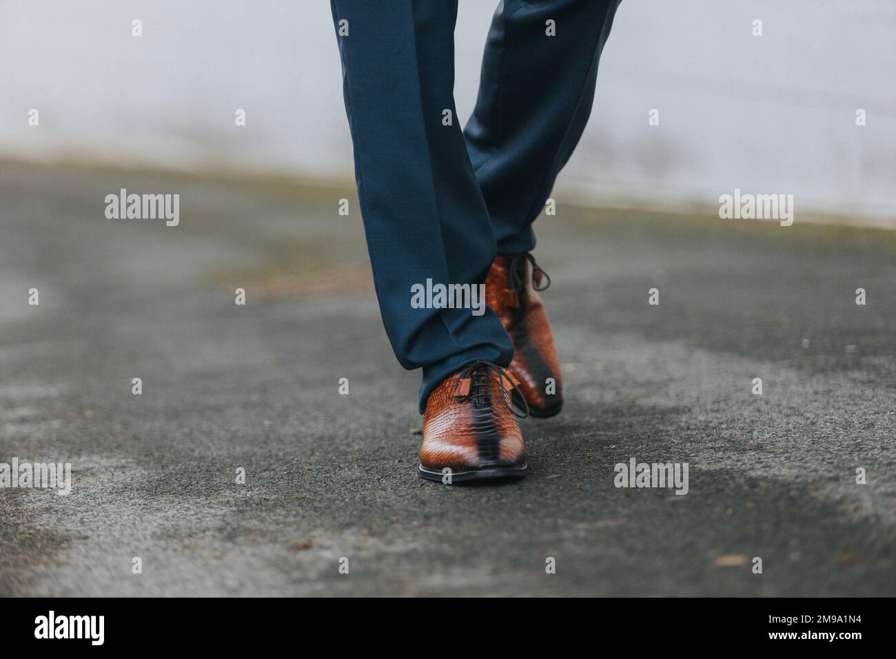 A stylish man in dark blue suit pants and brown and black reptile skin ...