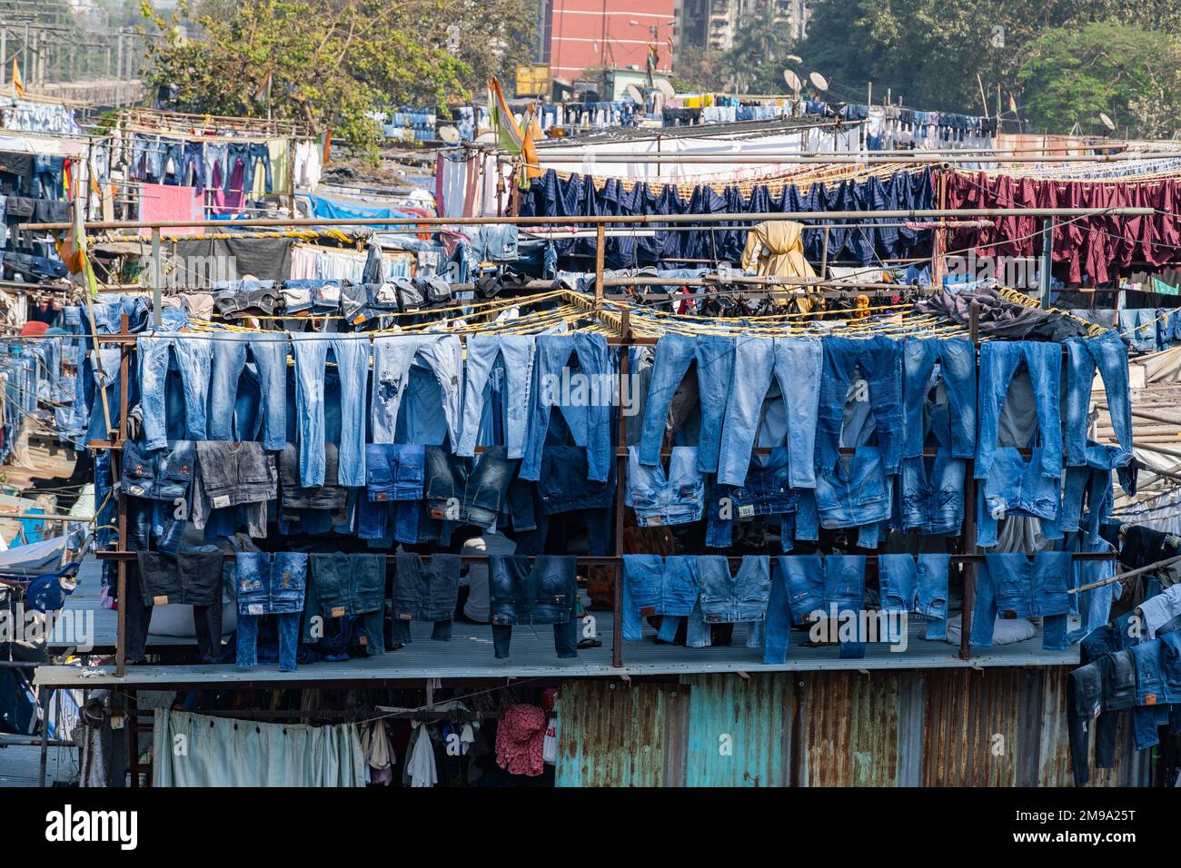 Incredible view of the Dhobi Ghat in Mumbai, the largest open-air ...