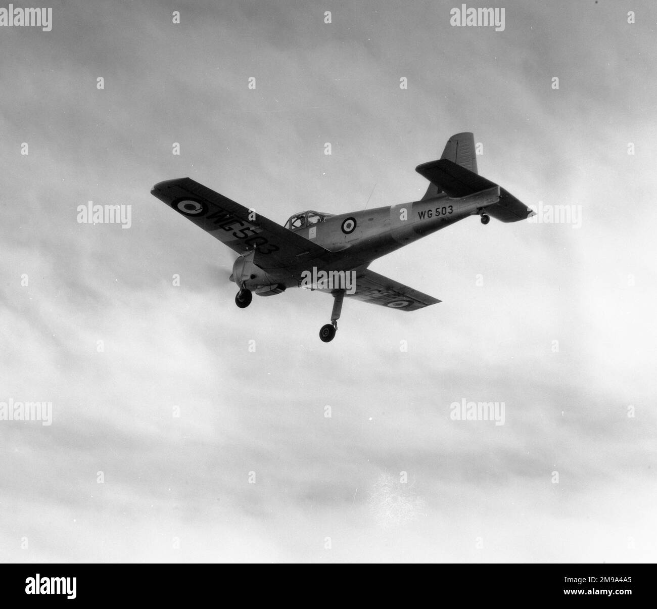 Percival provost aircraft hi-res stock photography and images - Alamy