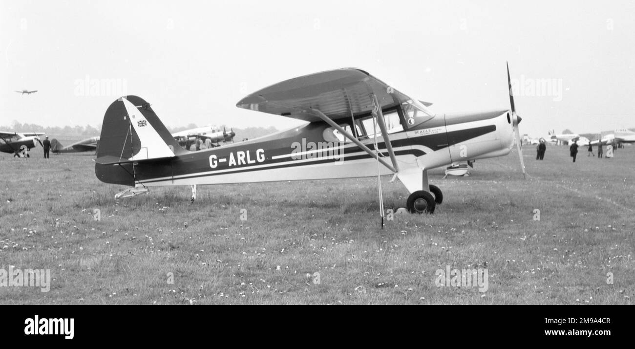 Auster D.4-108 G-ARLG (msn 3606) at Baginton (Coventry Airport Stock ...