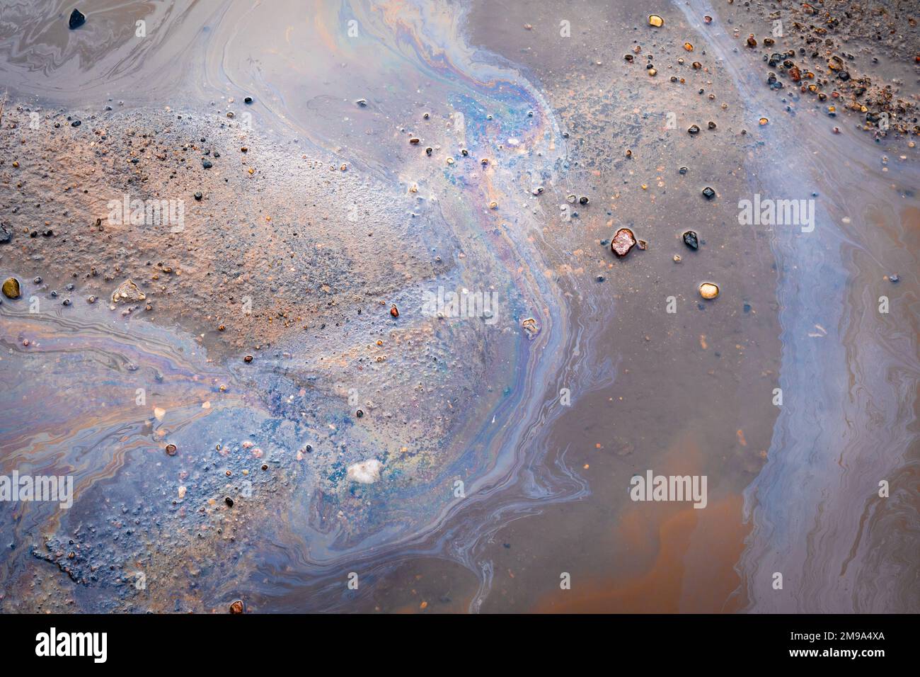 Colorful gasoline stain on the background of polluted water in a puddle ...