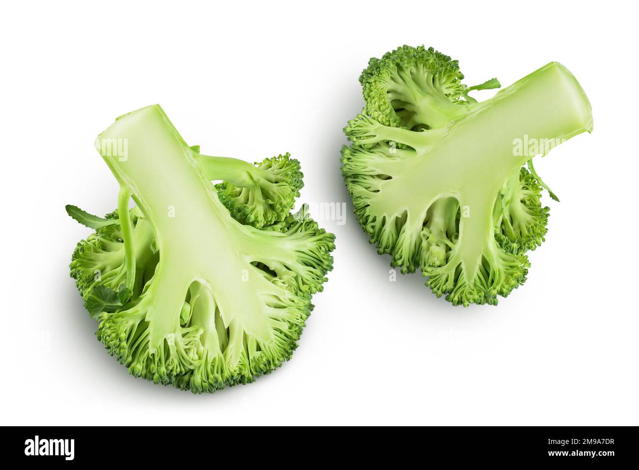 fresh broccoli isolated on white background close-up with full depth of ...