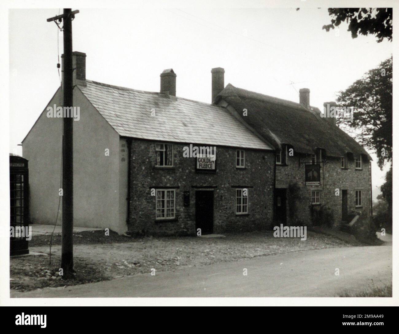 Photograph of Golden Fleece PH, Holditch, Somerset. The main side of ...