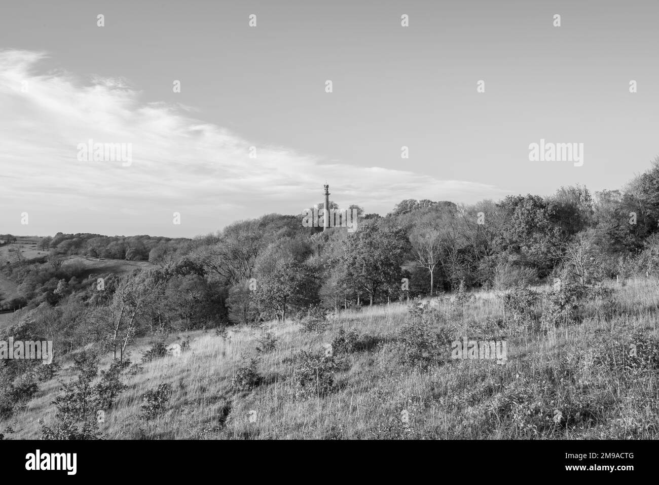 Landscape photo of the Admiral Hood Monument on the Polden Way footpath ...