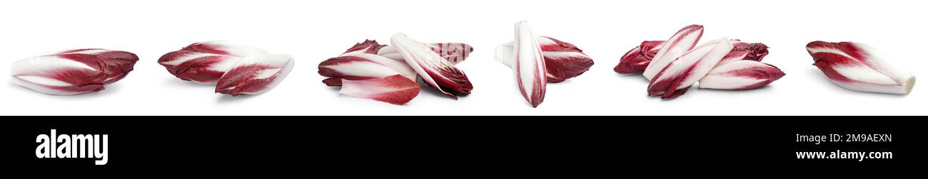 Collage of red chicory salads on white background Stock Photo - Alamy