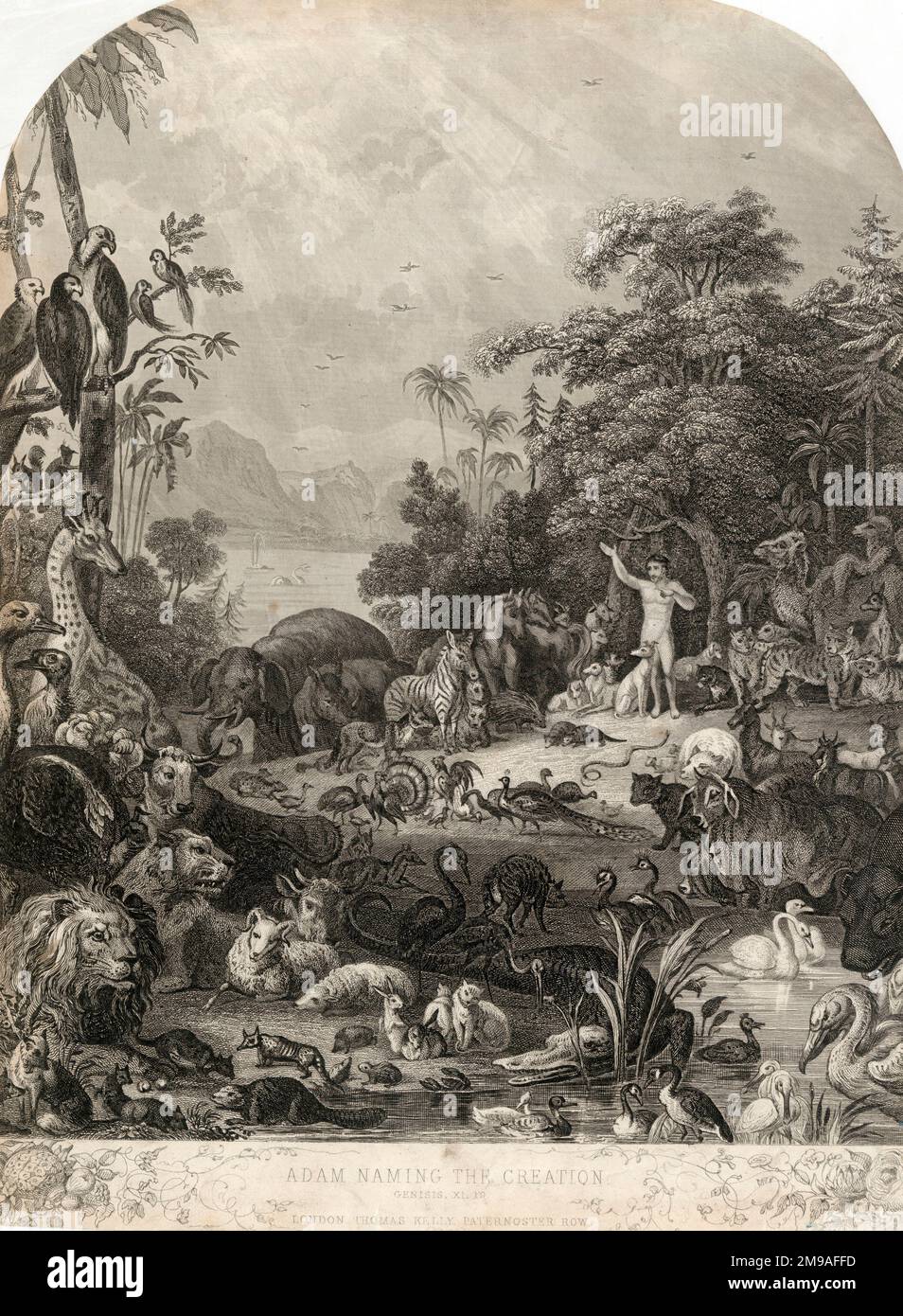 Naming the animals hi-res stock photography and images - Alamy