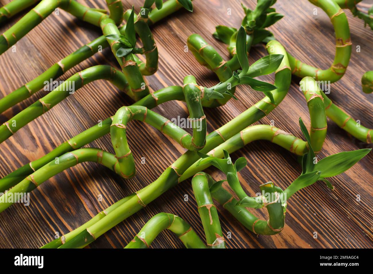 Bamboo stems on wooden background, closeup Stock Photo - Alamy