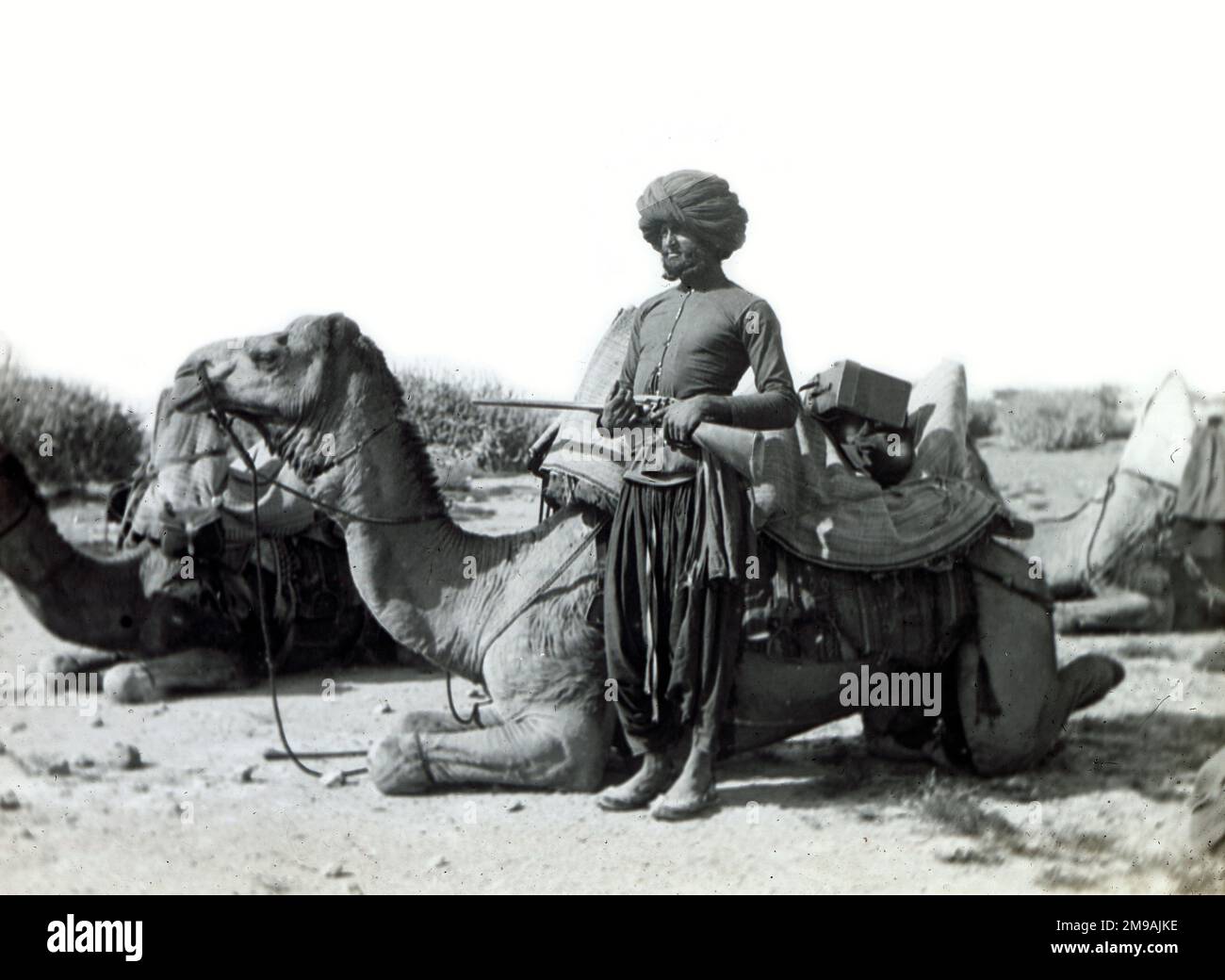 Persian guard and camels, Iran Stock Photo - Alamy