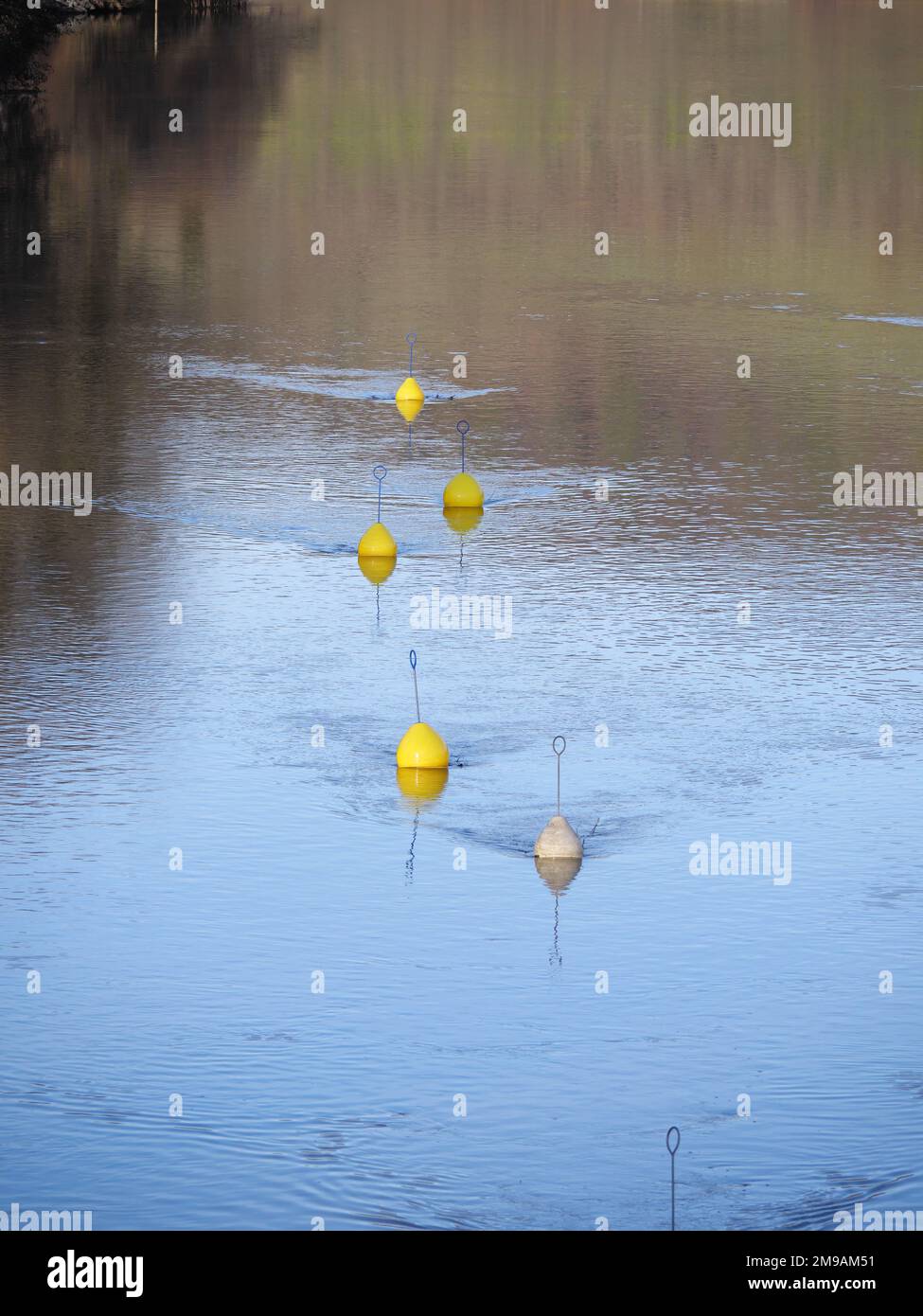Yellow and white buoys floating in the current on the water surface of ...