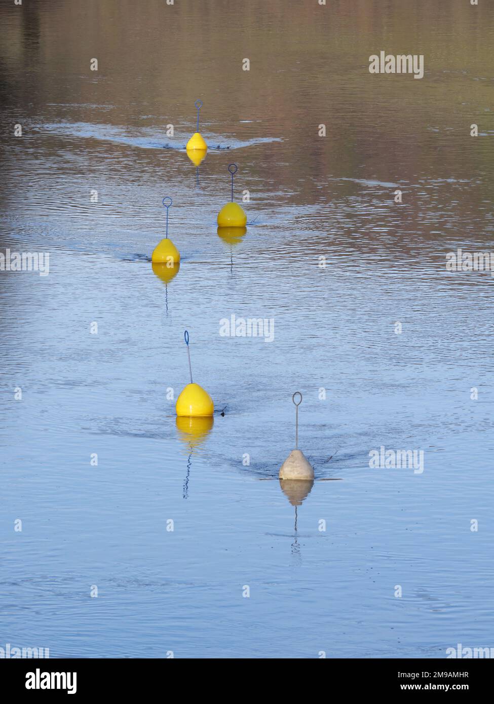 Yellow and white buoys floating in the current on the water surface of ...