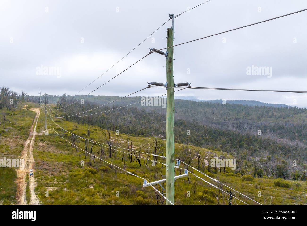 Drone aerial photograph of a green wooden powerline pole with a ...