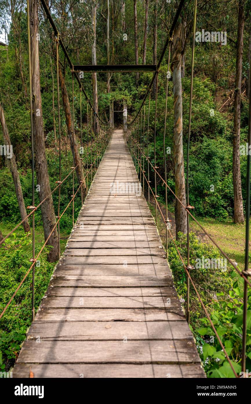 hanging wooden bridge in the forest Stock Photo - Alamy