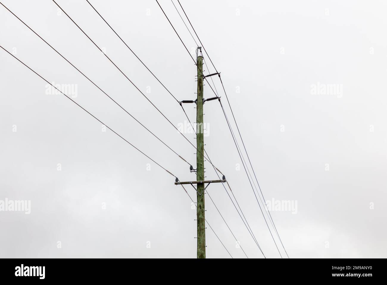 Photograph of a green wooden powerline pole with a multitude of ...