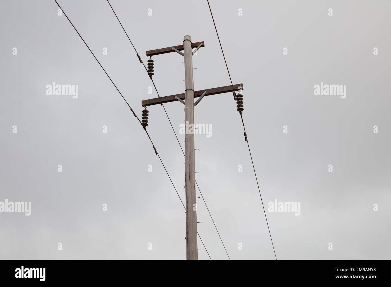 Photograph of a green wooden powerline pole with a multitude of ...
