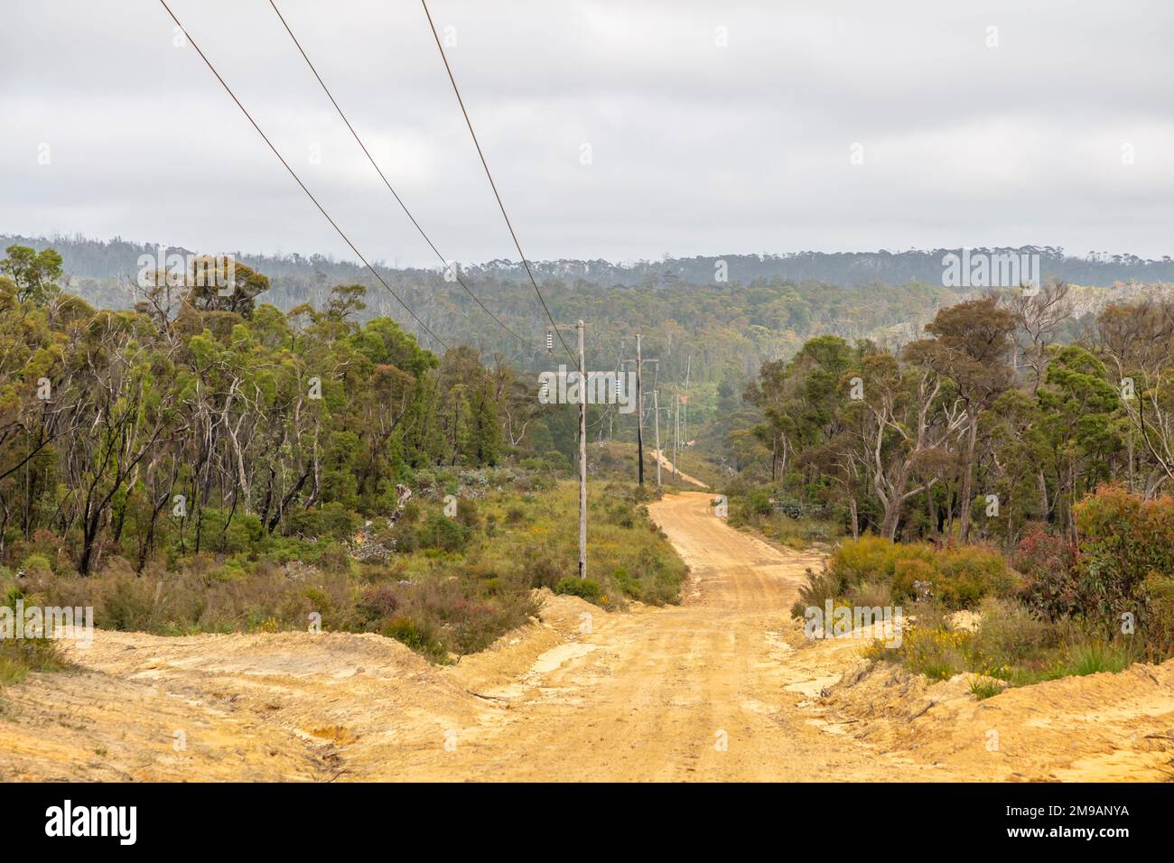 Poles electrical wires australia hi-res stock photography and images ...