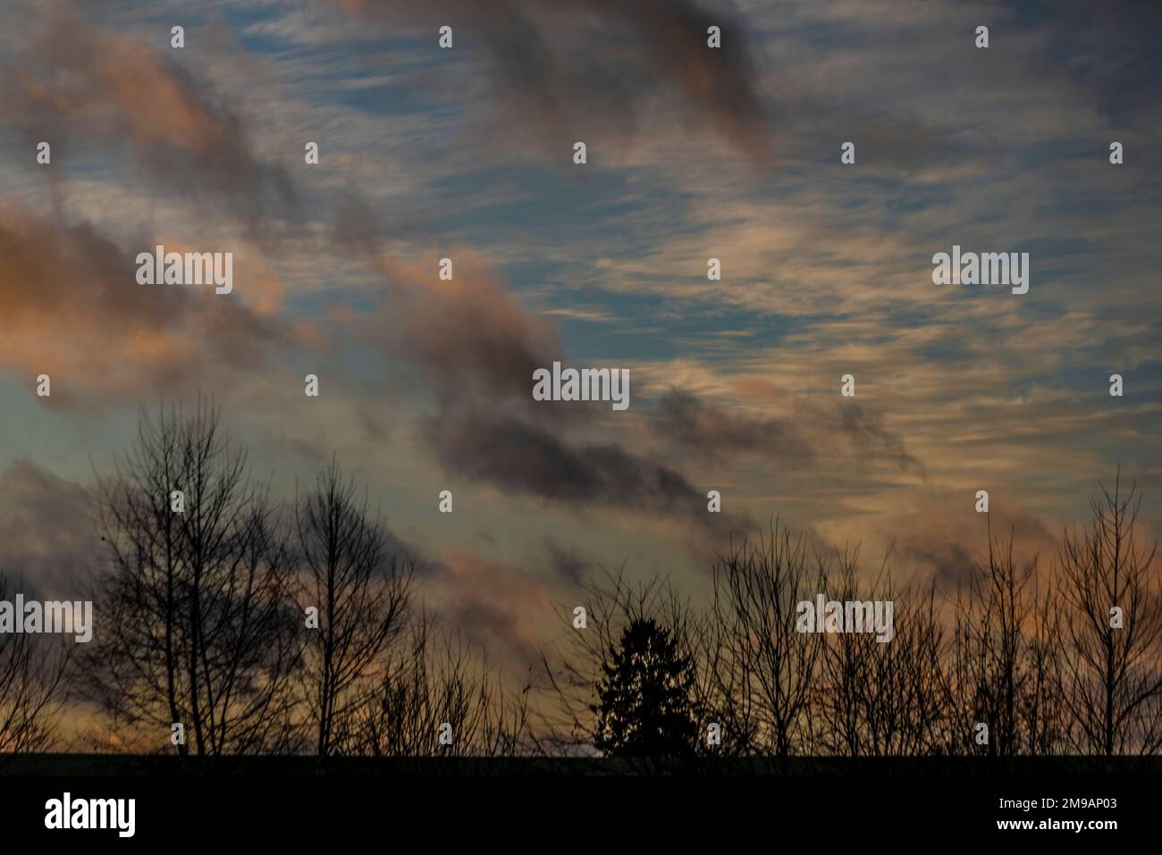 Landscape in north Austia in winter sunny morning without fresh snow ...