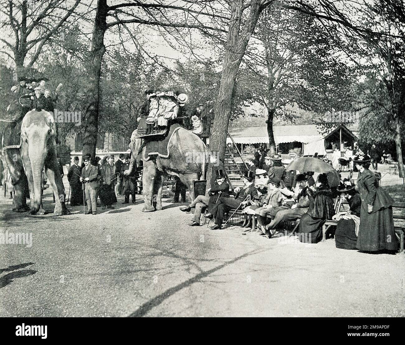 Regents park london zoo hi-res stock photography and images - Alamy