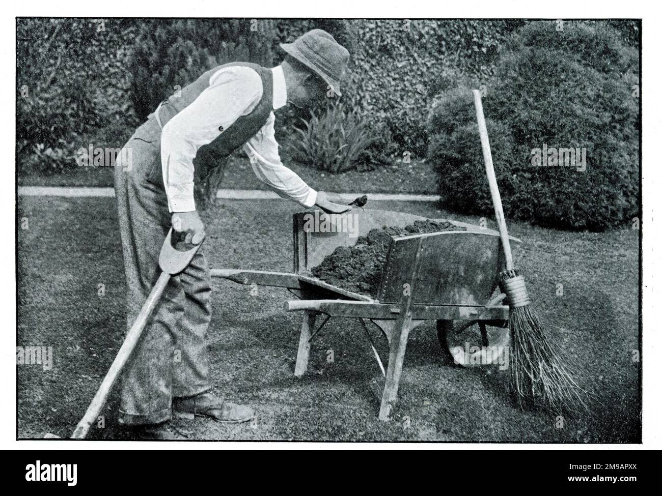 Robin in the grass hi-res stock photography and images - Alamy
