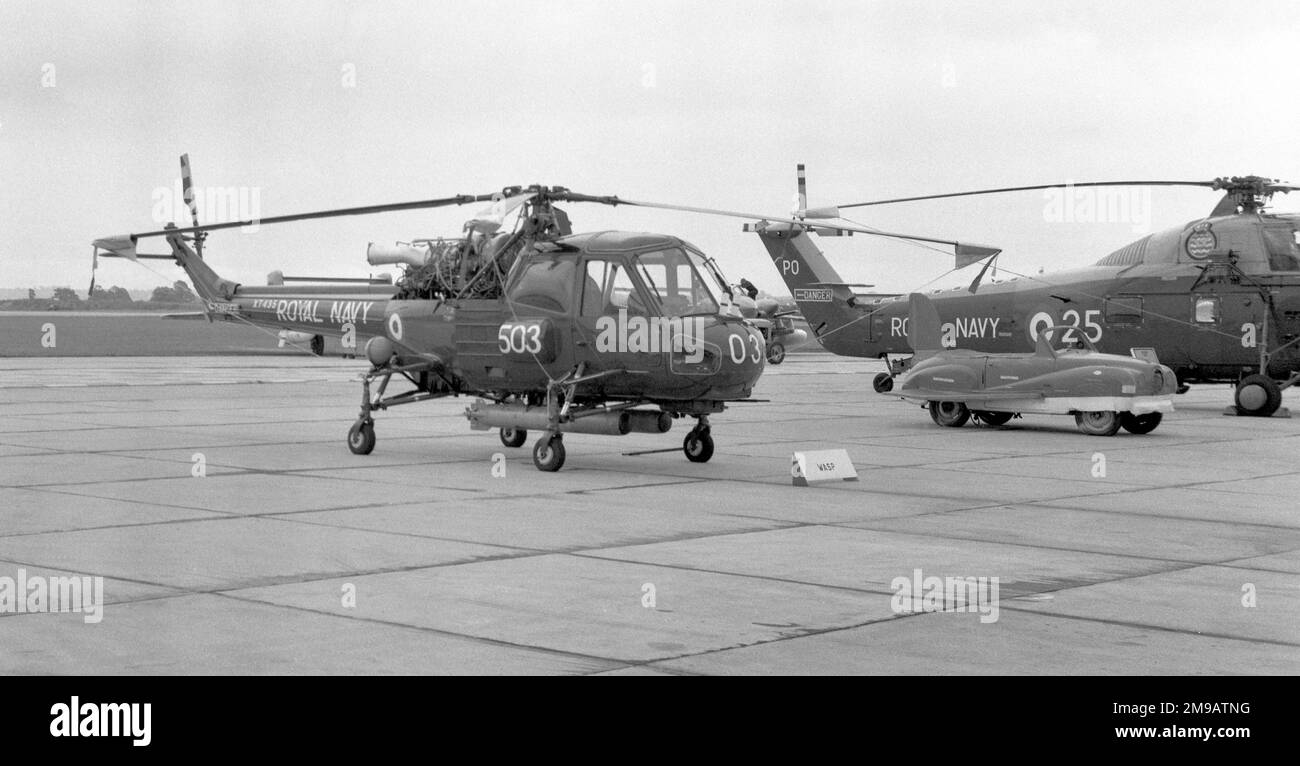 Royal Navy - Westland Wasp HAS.1 XT435 ' 503' of 829 Naval Air Squadron ...