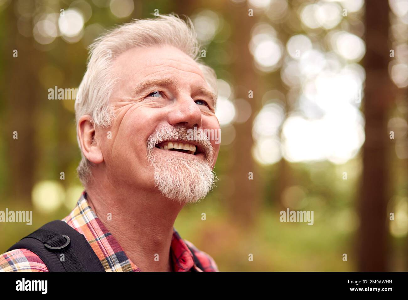 Active Retired Senior Man Walking In Woodland Countryside Wearing ...