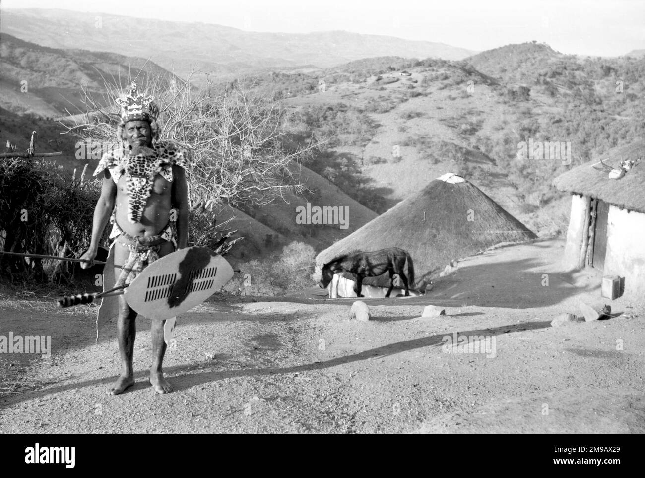 Zulu village: with villagers Stock Photo - Alamy