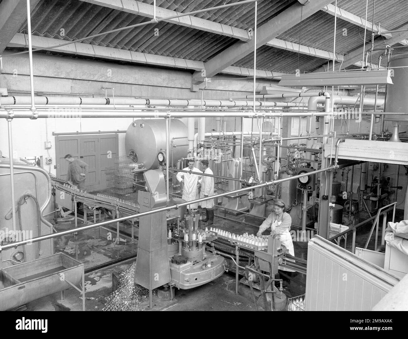Milk production 1960s hi-res stock photography and images - Alamy