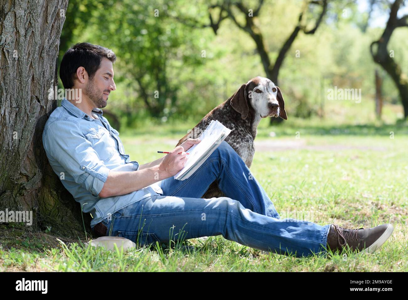 man drawing with dog at his side Stock Photo - Alamy
