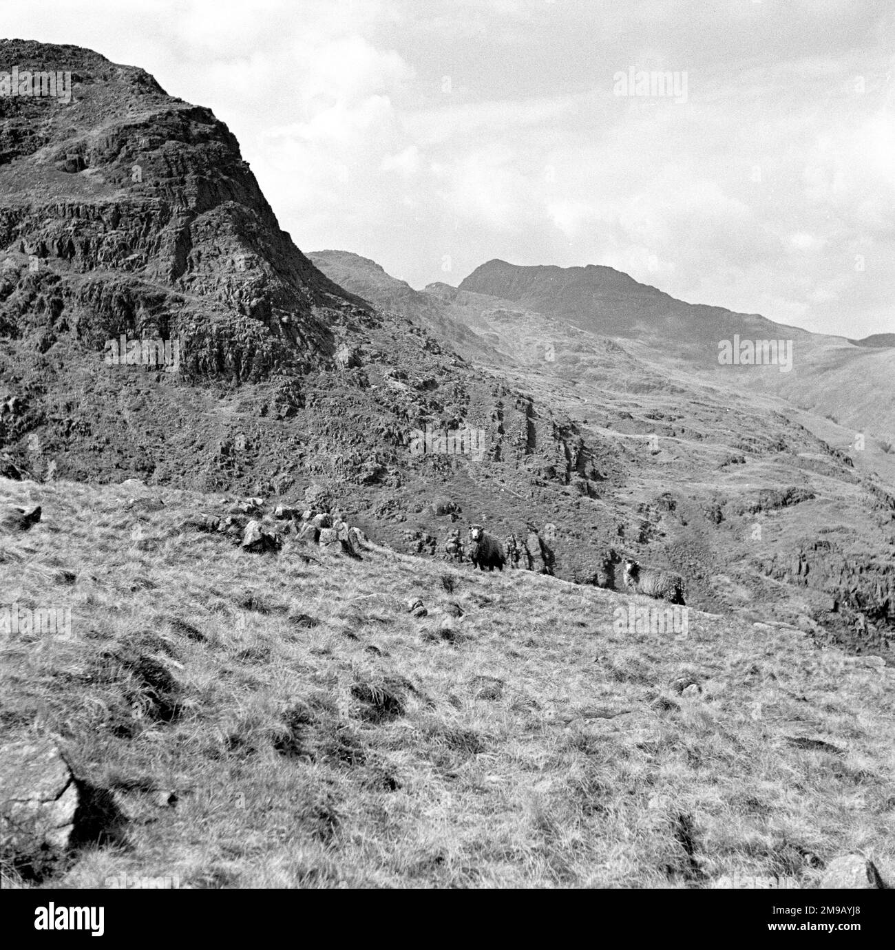 View of the dramatic landscape and scenery of the Lake District ...