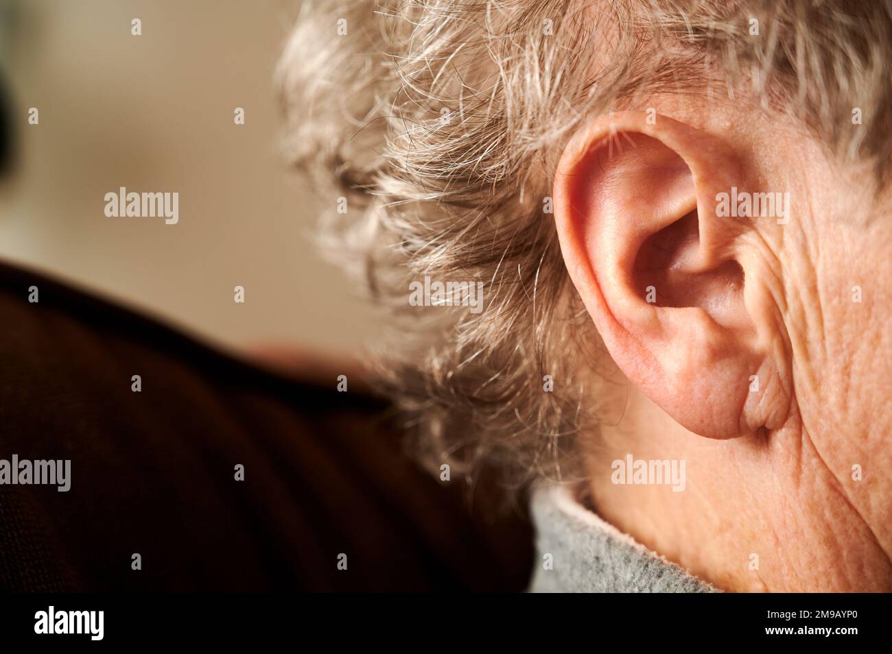An old person's ear and side of head with greygray hair with out of ...