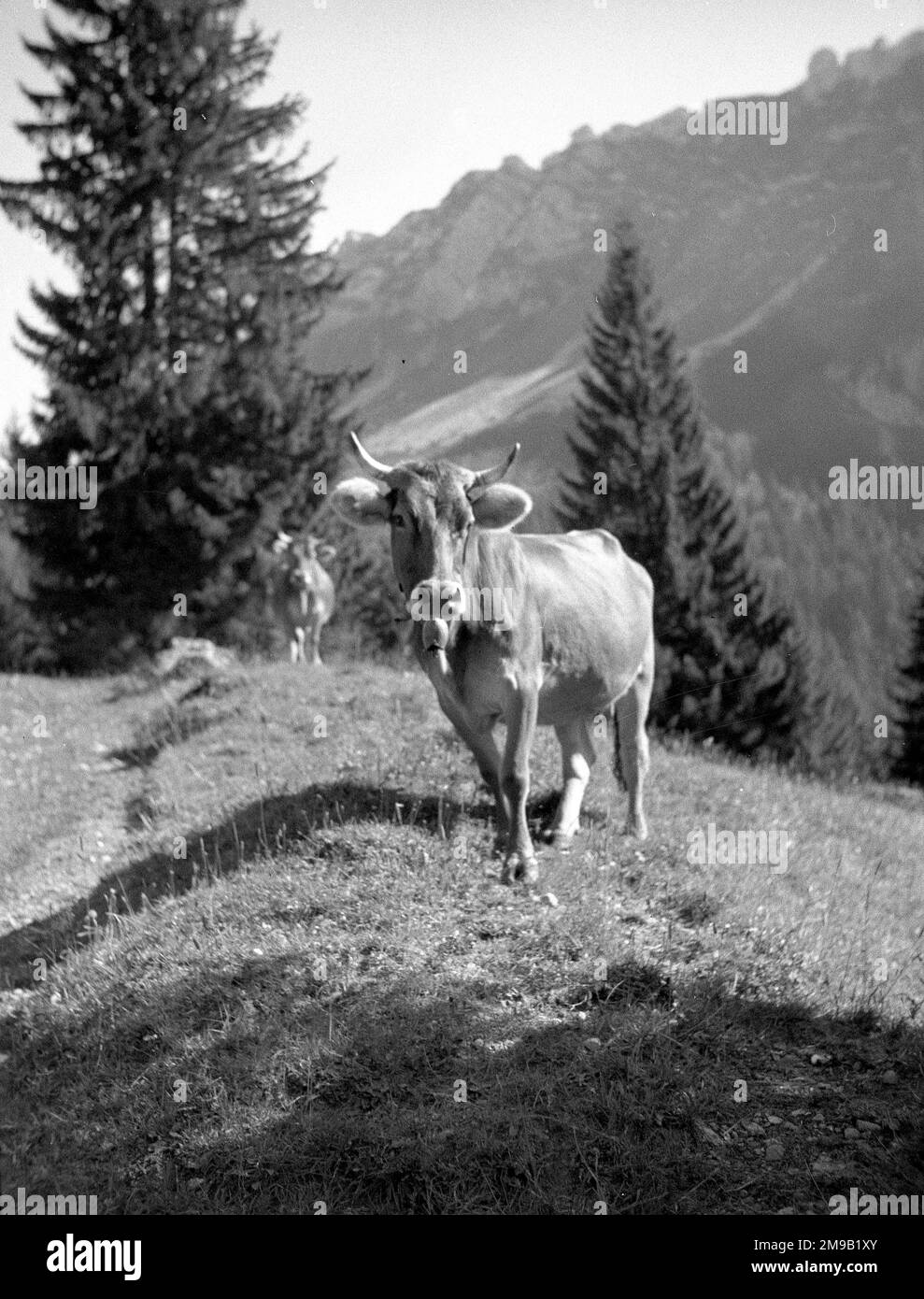 Alpine history hi-res stock photography and images - Alamy