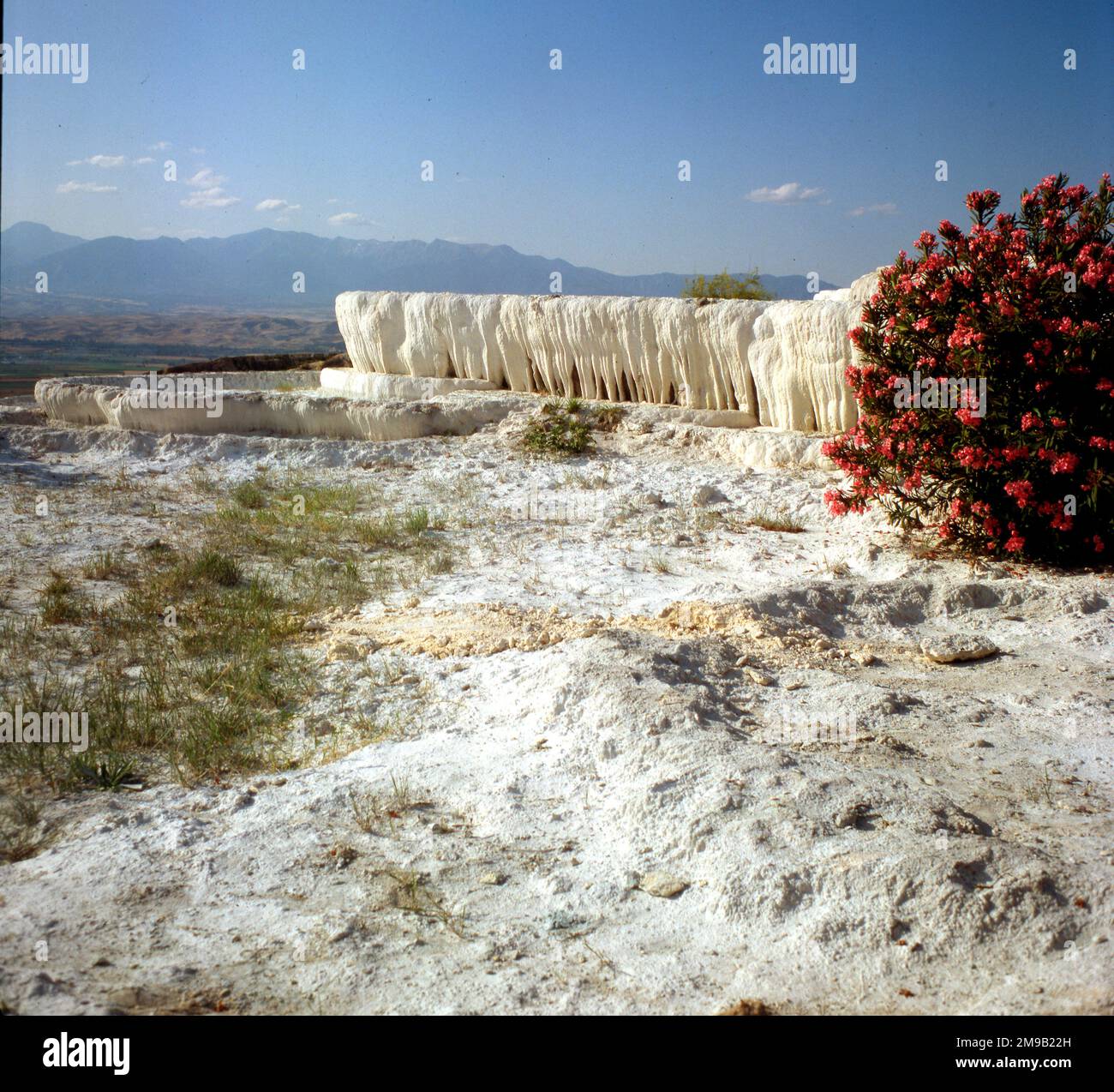 Calcified deposits from hot springs at Pamukkale, Denizli Provonce ...