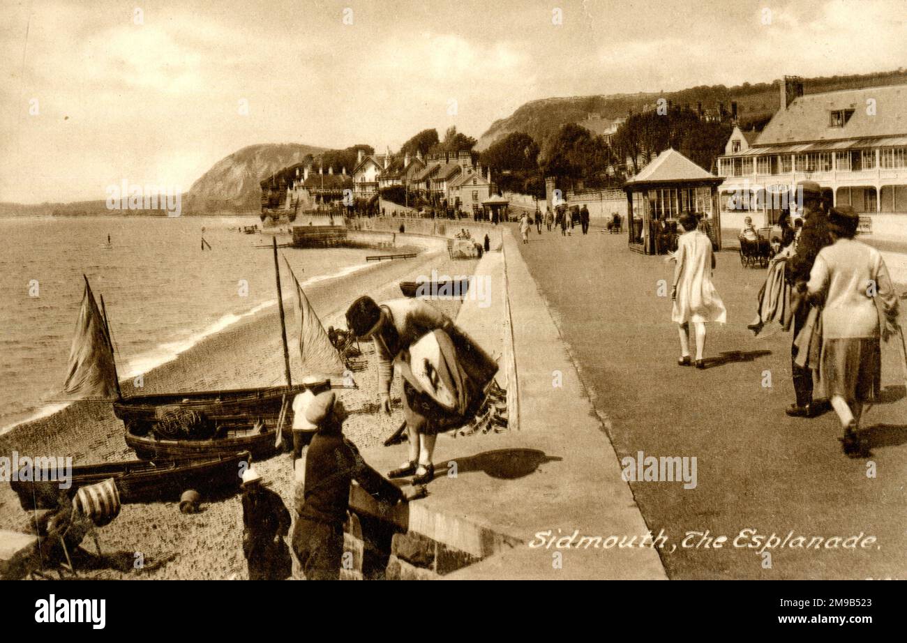 History of east devon hi-res stock photography and images - Alamy