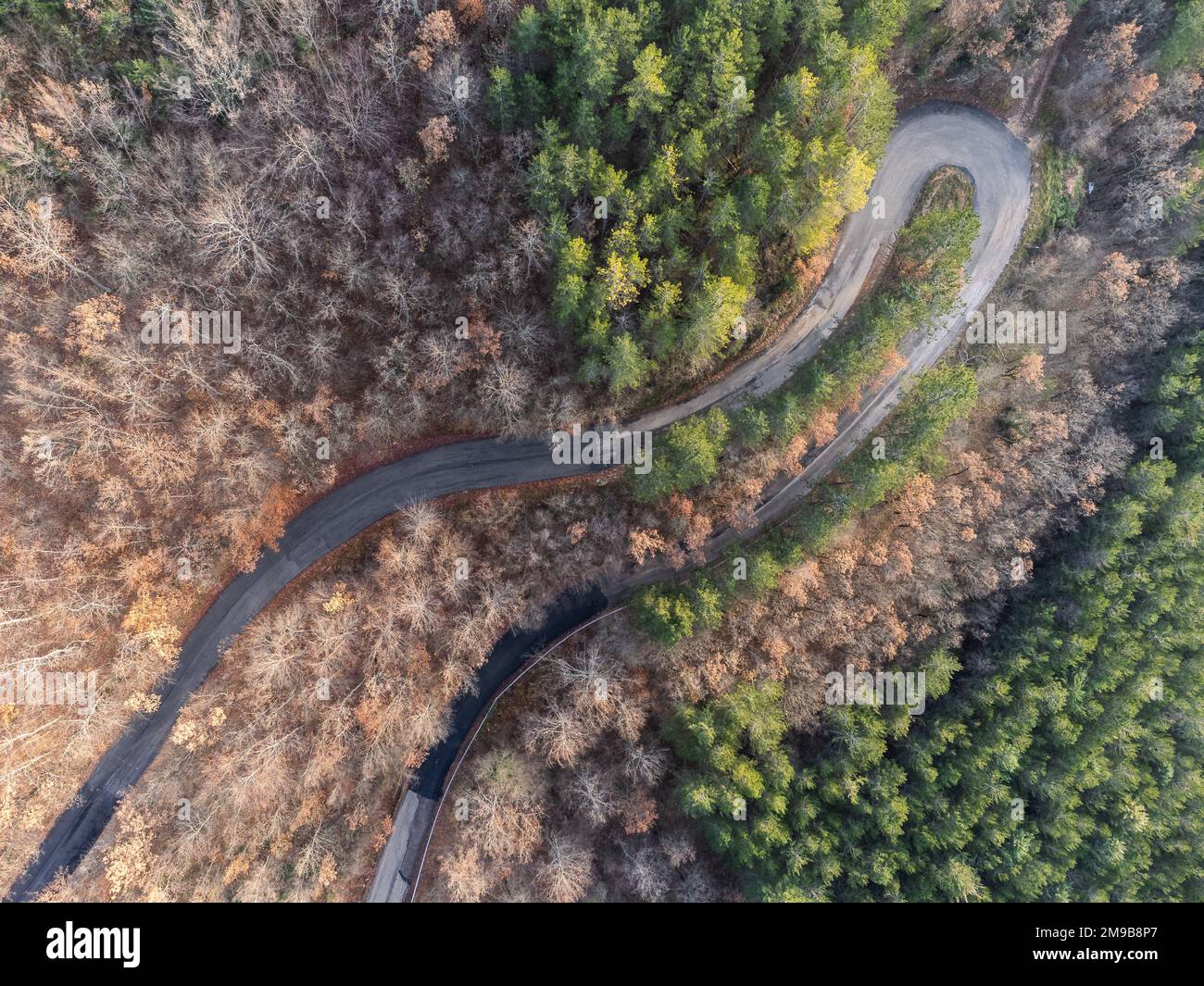 Top-down view of an hairpin bend in the middle of a forest with green ...