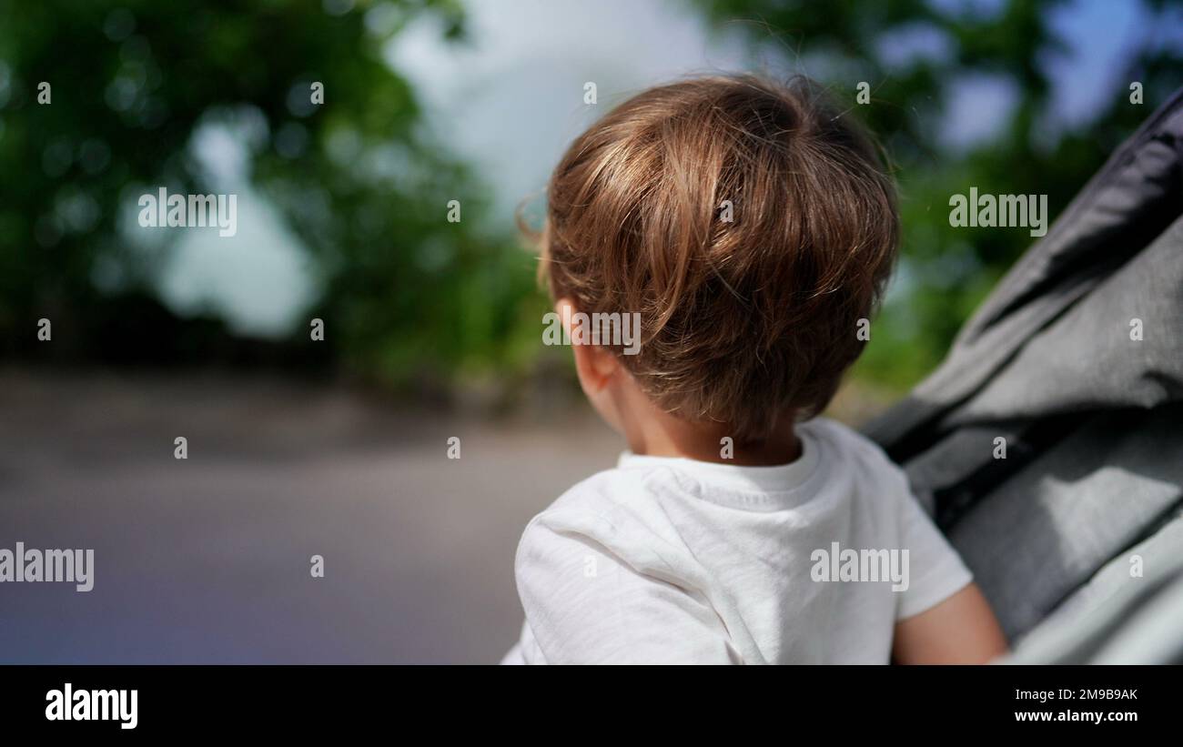 Toddler child strolling outside, baby boy inside stroller Stock Photo ...