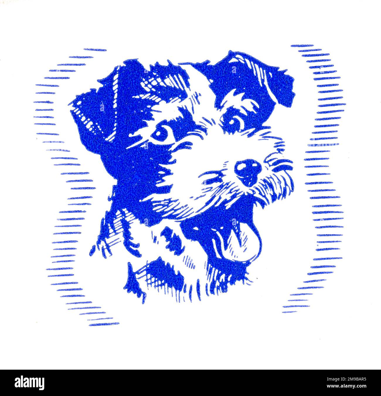 Terrier dog's head - 1950s printer's block Stock Photo - Alamy