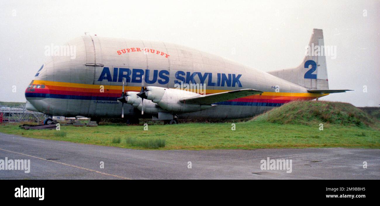 Guppy type hi-res stock photography and images - Alamy