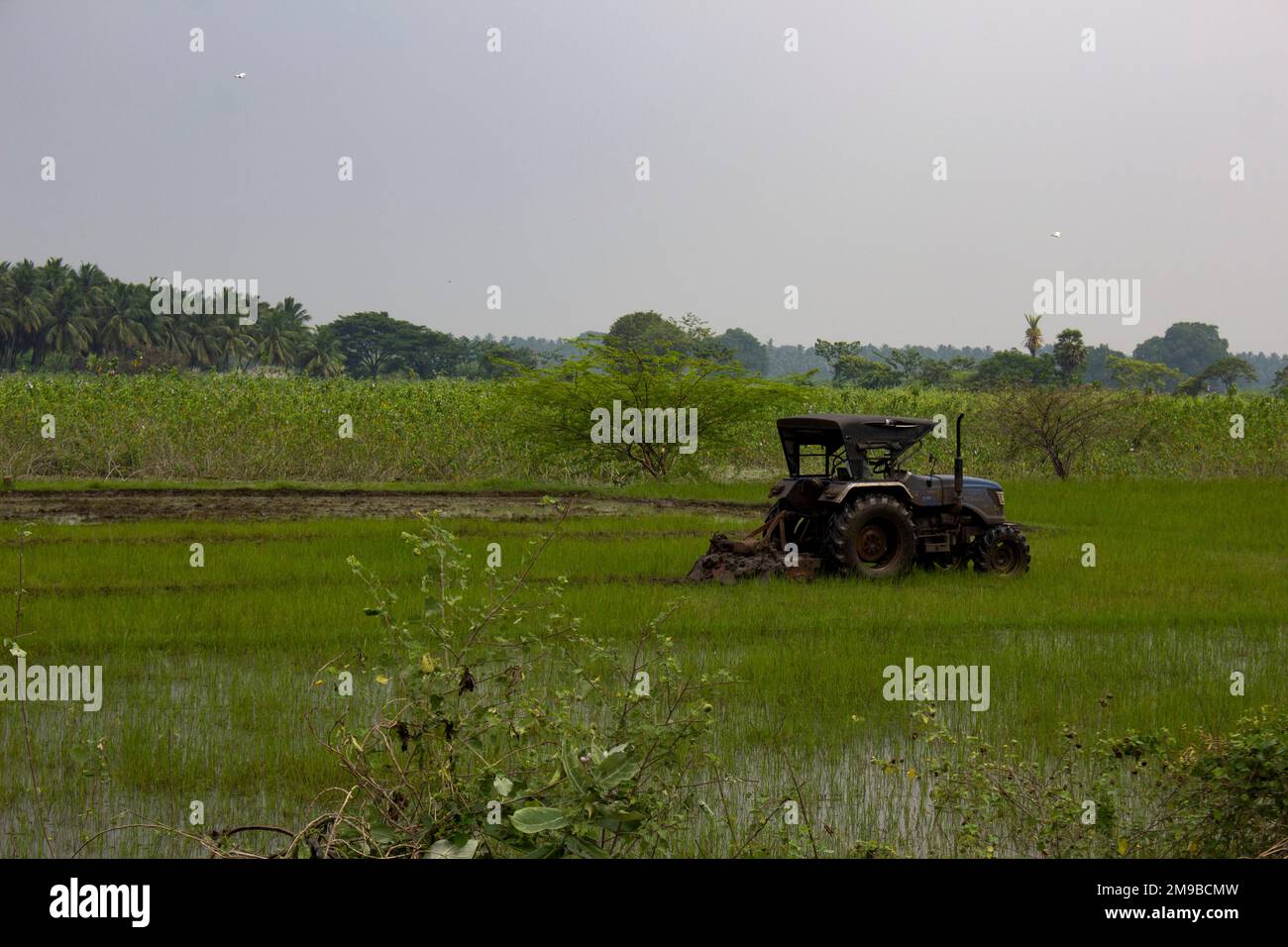Modern soil plowing green farm machinery tractor in the farm field ...