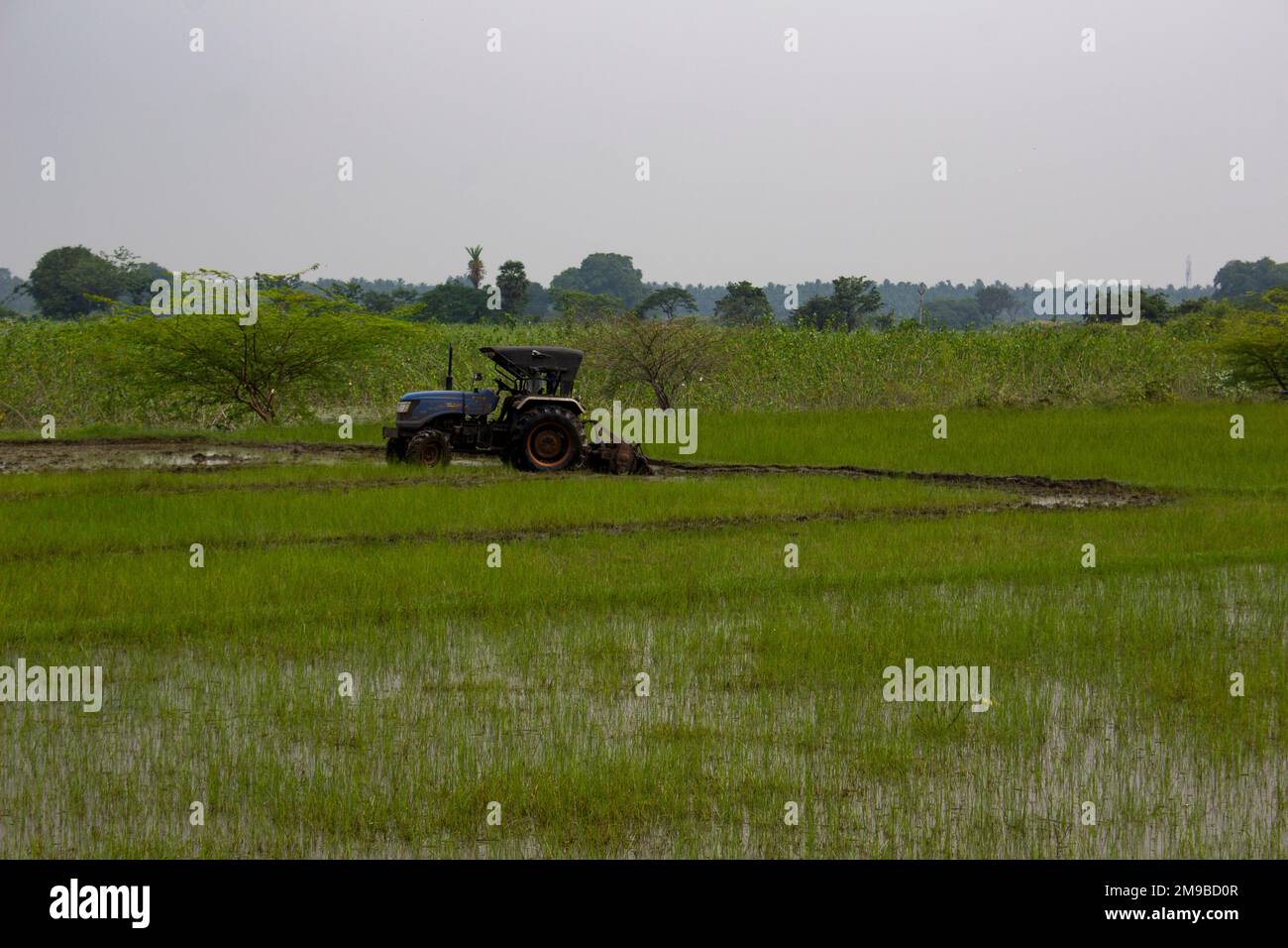 Modern soil plowing green farm machinery tractor in the farm field ...