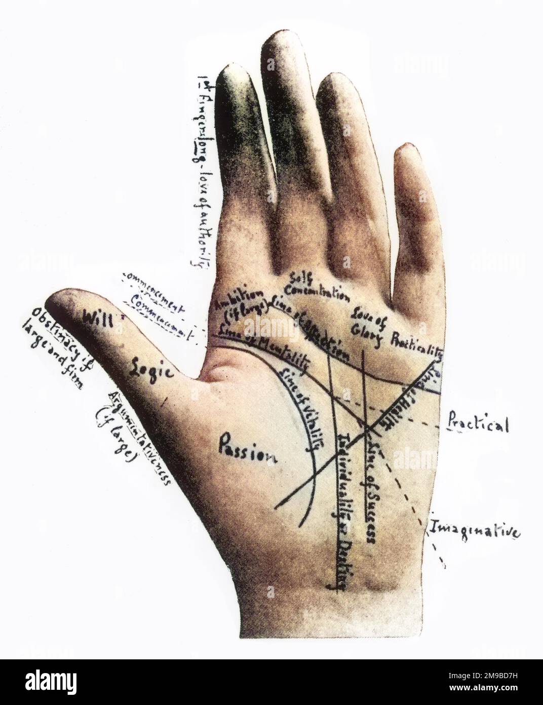 Palmistry hand lines hi-res stock photography and images - Alamy