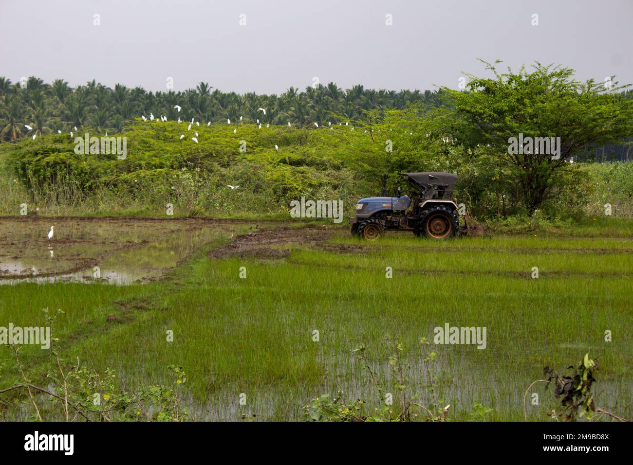 Modern soil plowing green farm machinery tractor in the farm field ...