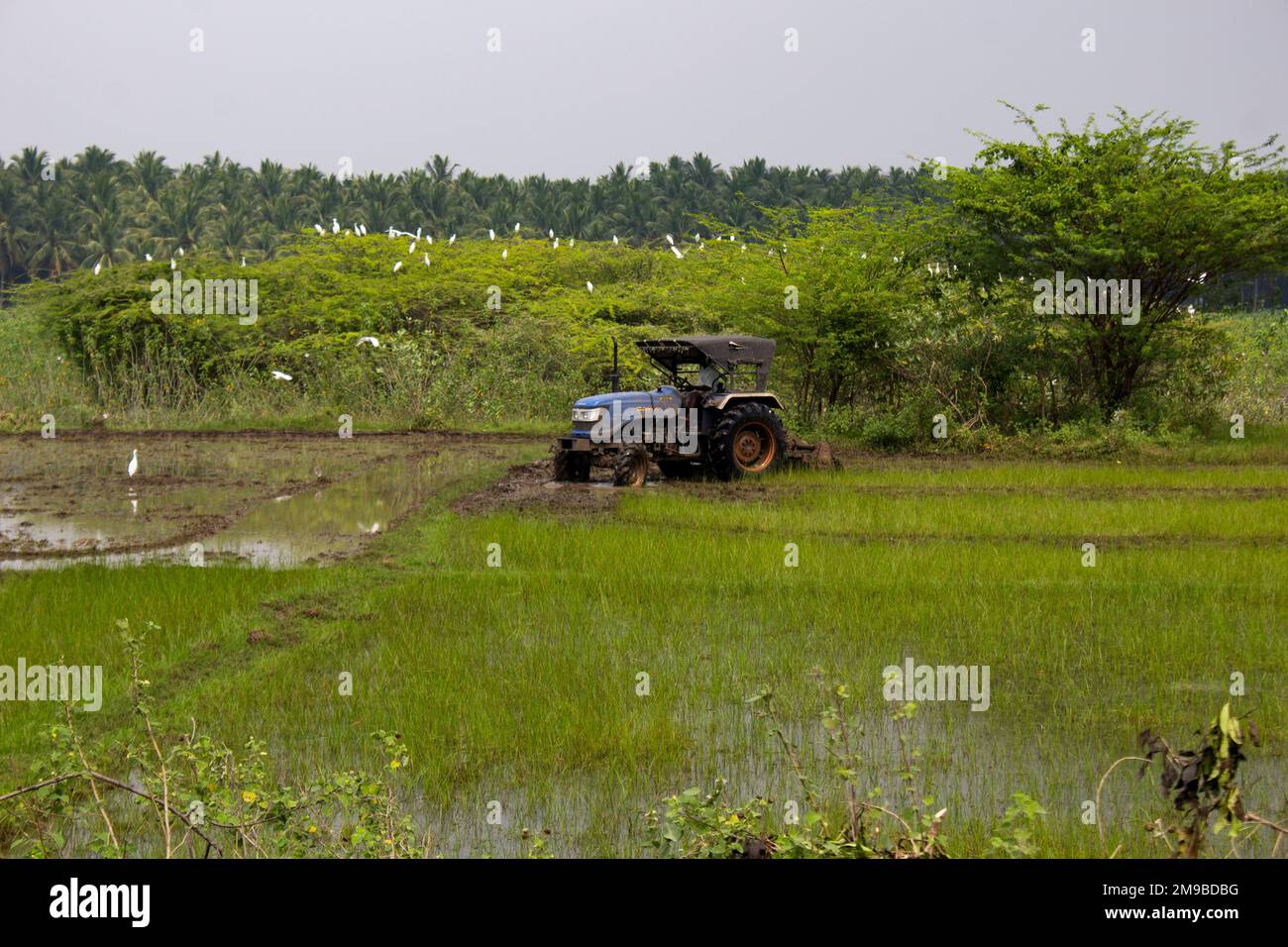 Modern soil plowing green farm machinery tractor in the farm field ...