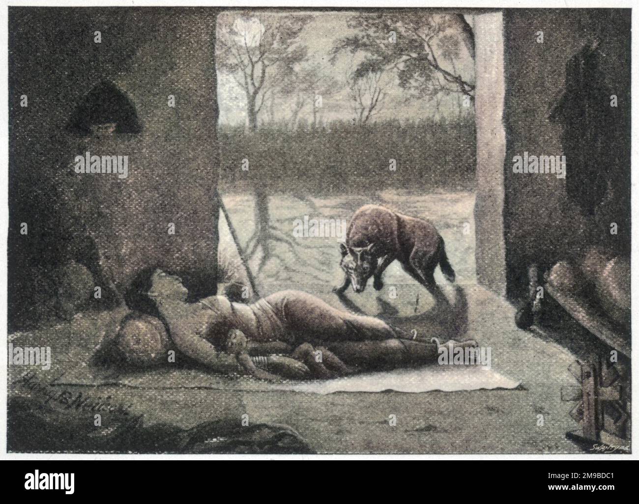 Wolf stealing a child, India 1 of 5 Stock Photo - Alamy