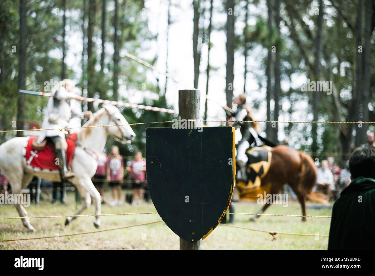 Medieval jousting horses hi-res stock photography and images - Alamy