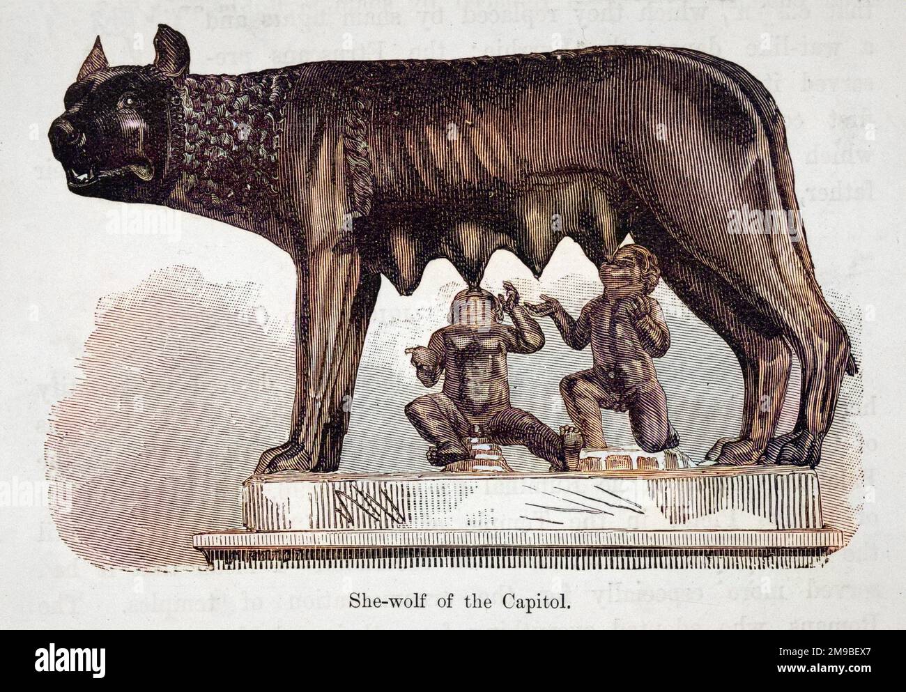 Romulus and Remus are suckled by a wolf Stock Photo - Alamy