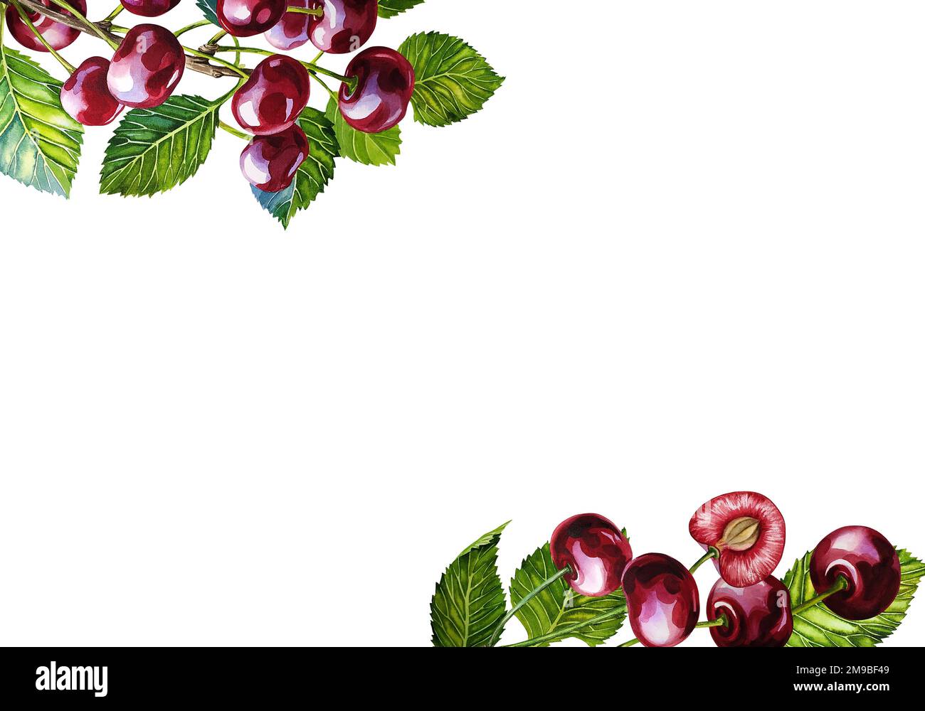 Cherry fruit frame. Watercolor illustration. For labels, packaging and ...