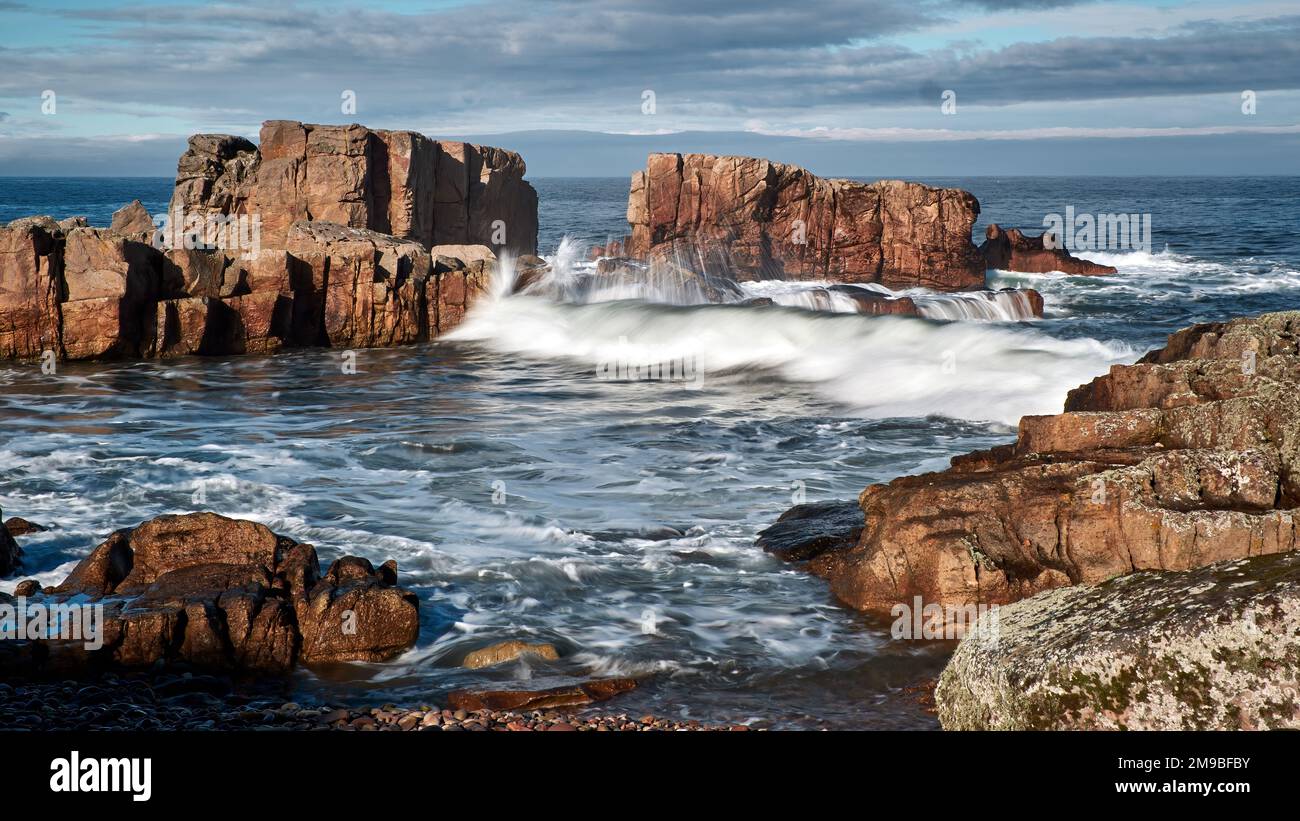 Daisyrock hi-res stock photography and images - Alamy