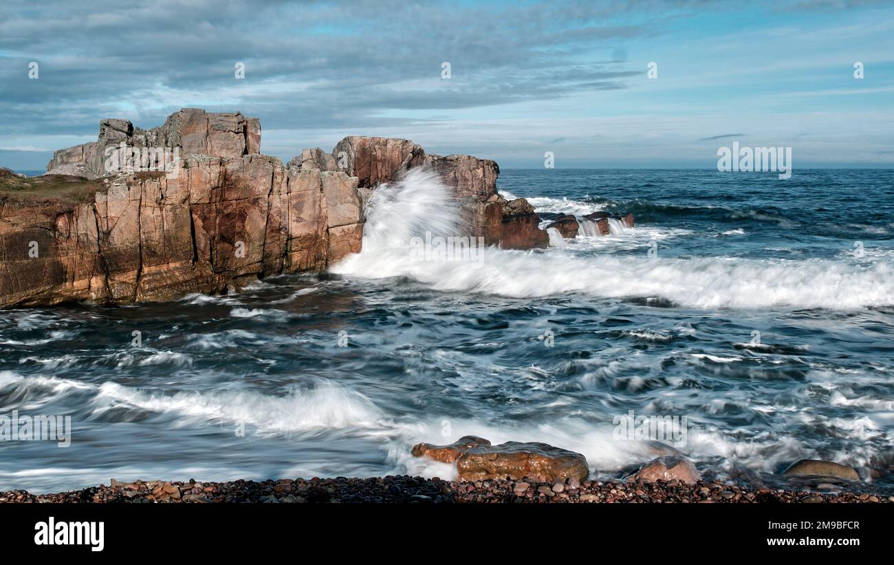 Daisy Rock, Hopeman Stock Photo - Alamy