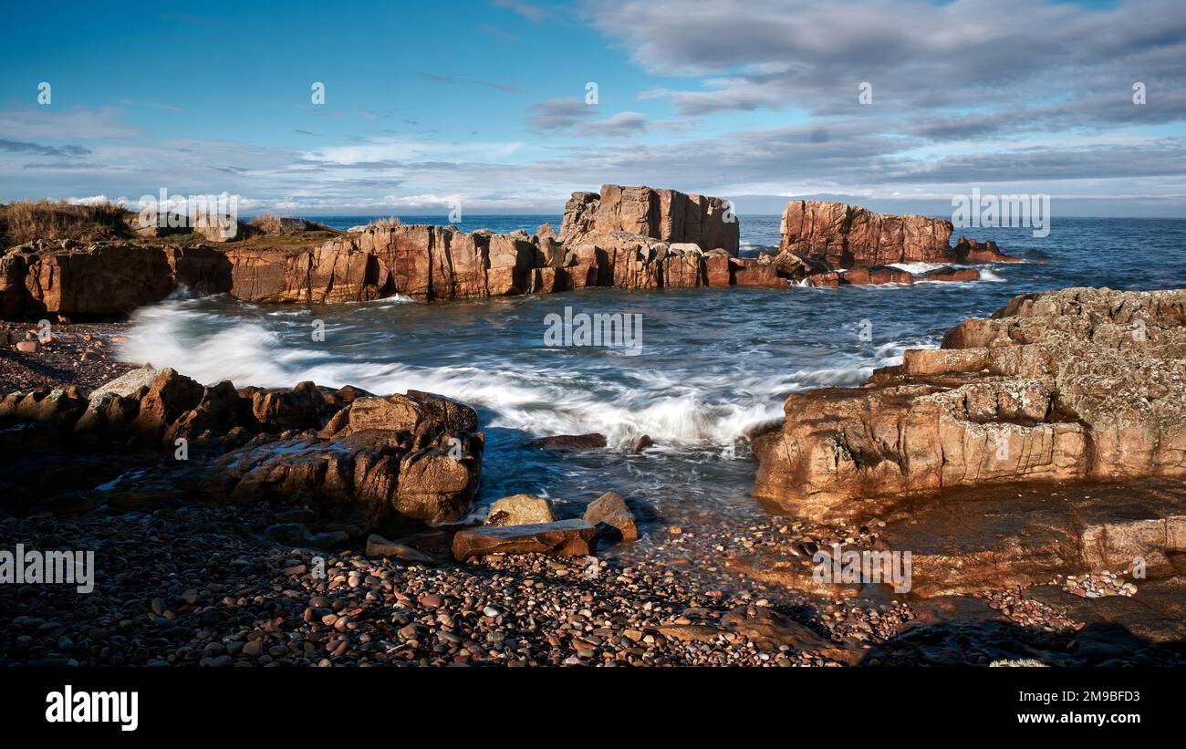 Daisy Rock, Hopeman Stock Photo - Alamy