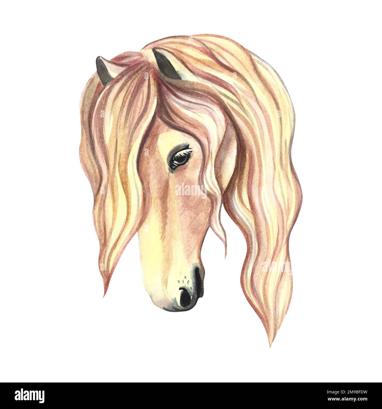Horse portrait. Beautiful mare. Watercolor illustration. For printing ...