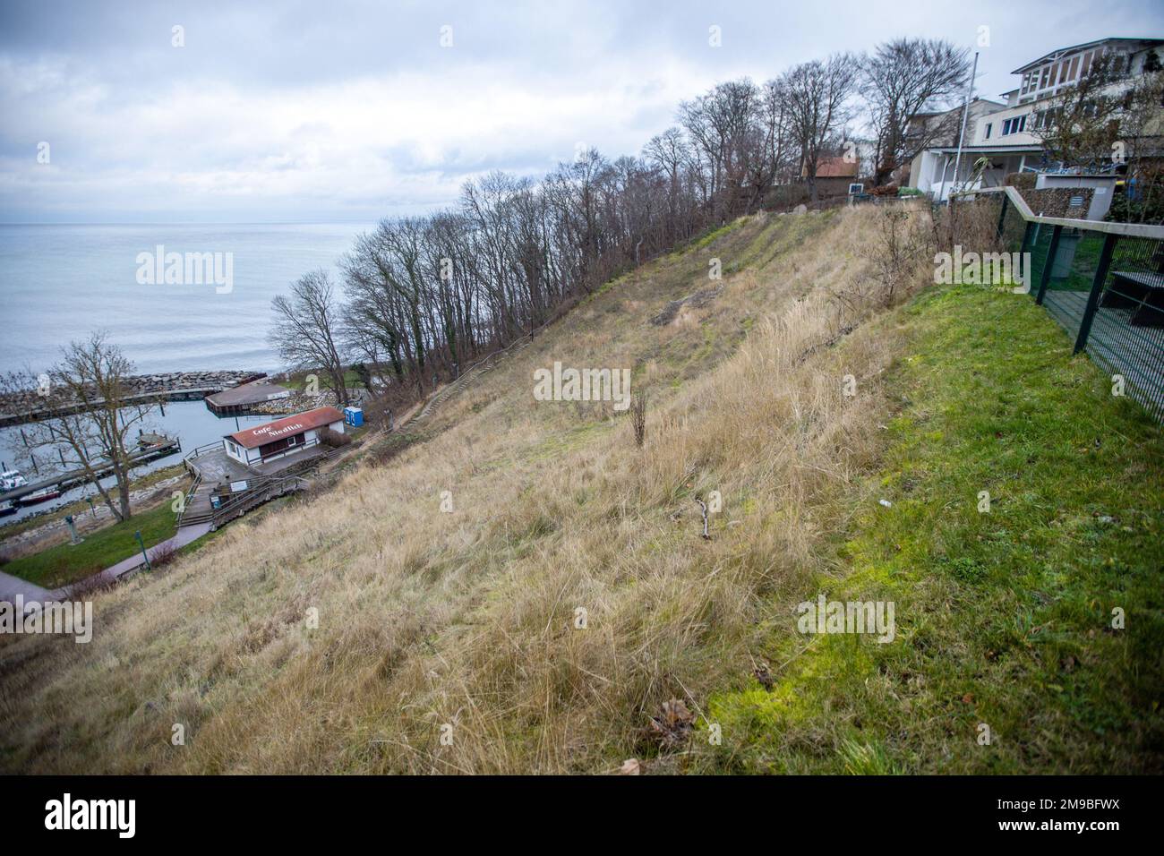 Lohme, Germany. 17th Jan, 2023. The slope above the harbor of Lohme on ...